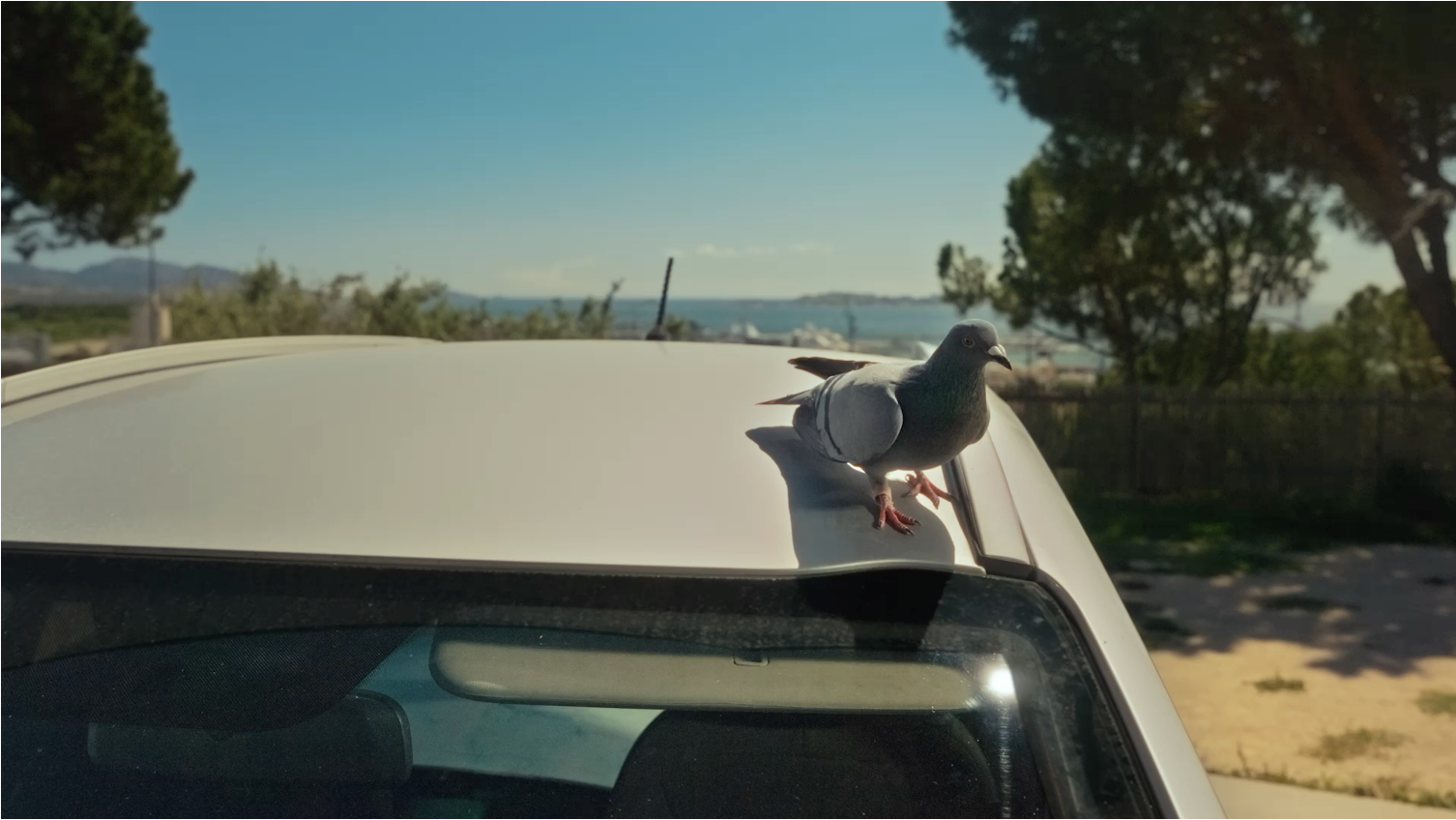 Roole Campagne - Glory Paris